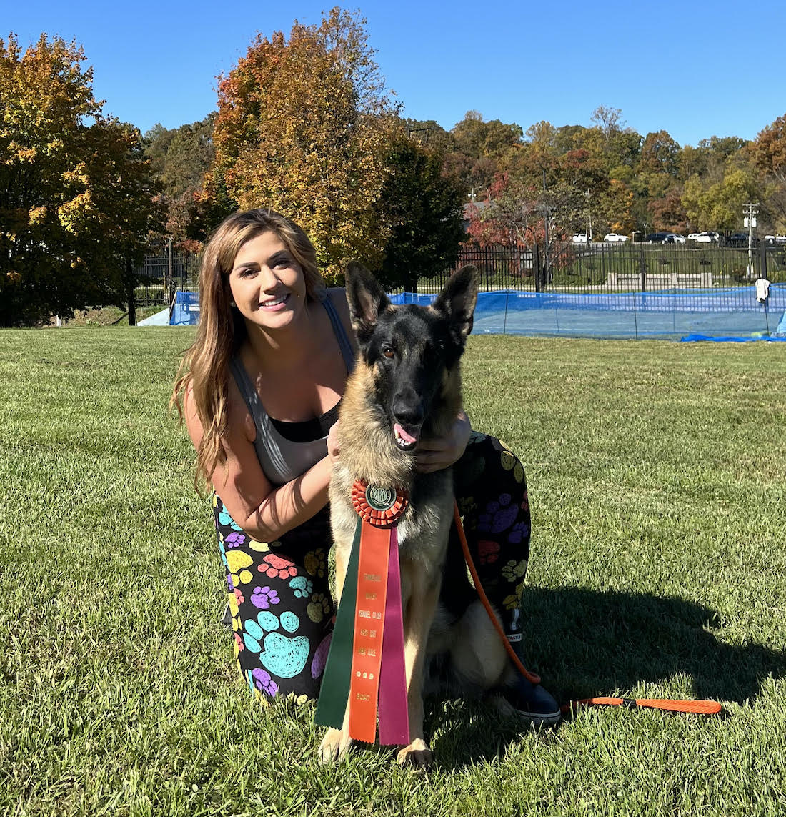 German Shepherd Names Male | Adoption Male German Shepherds