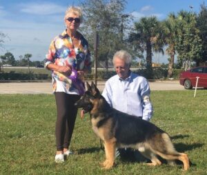 Georgia German Shepherd Puppy Breeder - Kingdom Shepherds
