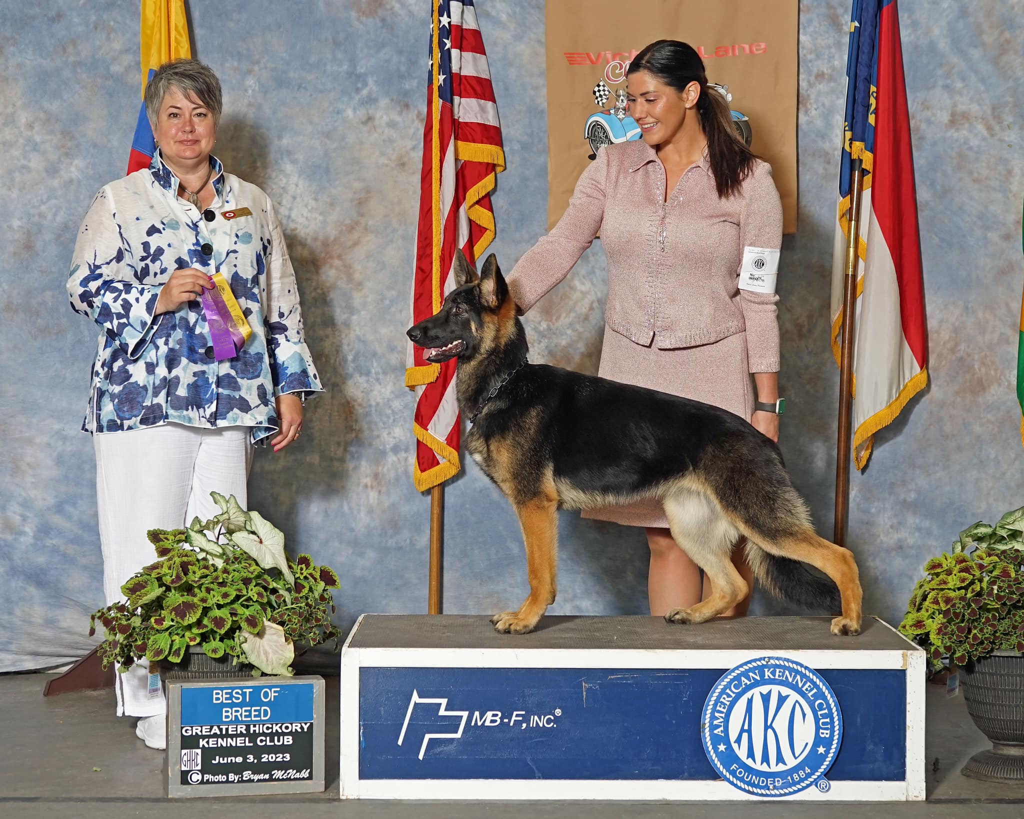 Wins Under Canadian Judge Ann Felske-Jackman - Kingdom Shepherds