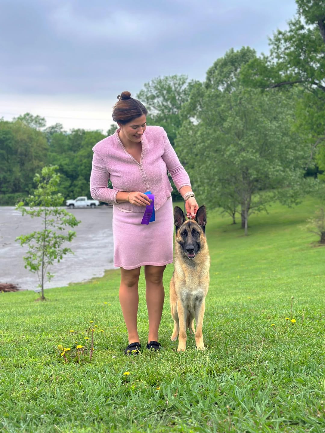 Justice Awarded Winners Dog - Kingdom Shepherds